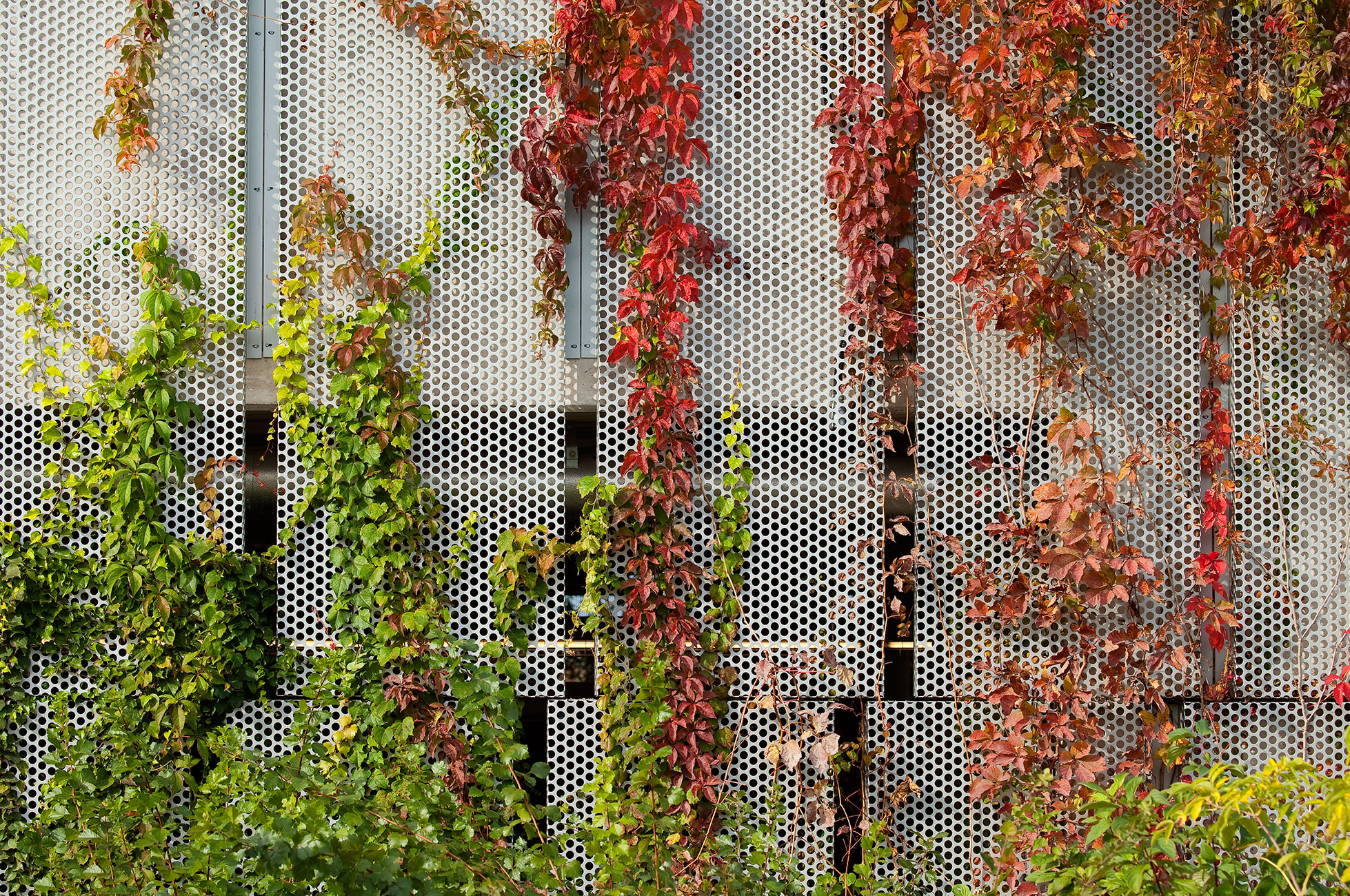 Queenston Plaza Border Crossing Complex - Moriyama Teshima Architects