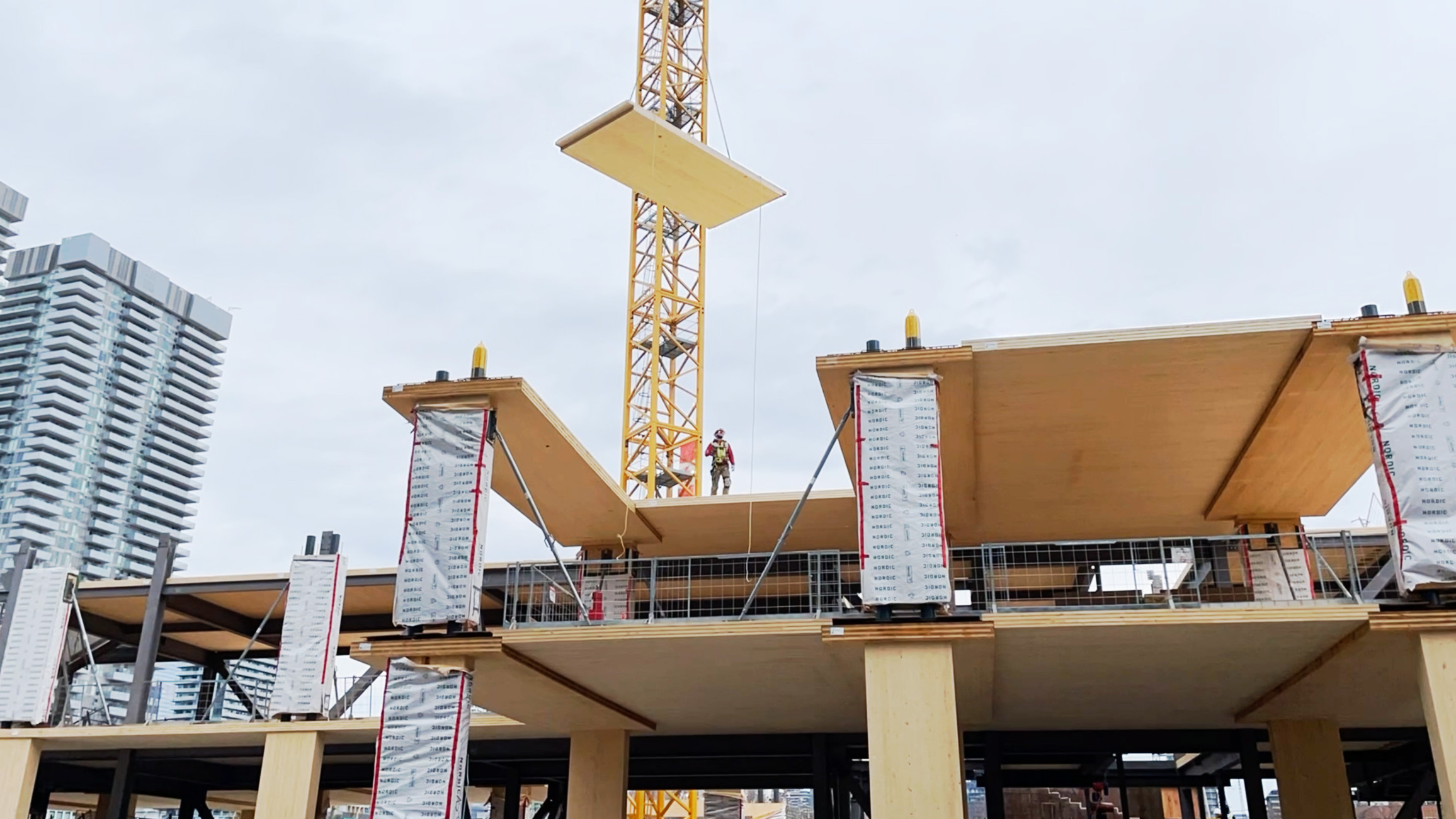 CLT Panel Install at Limberlost Place - Moriyama Teshima Architects