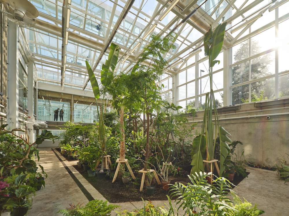 McMaster University Life Sciences Biology Building and Greenhouse ...