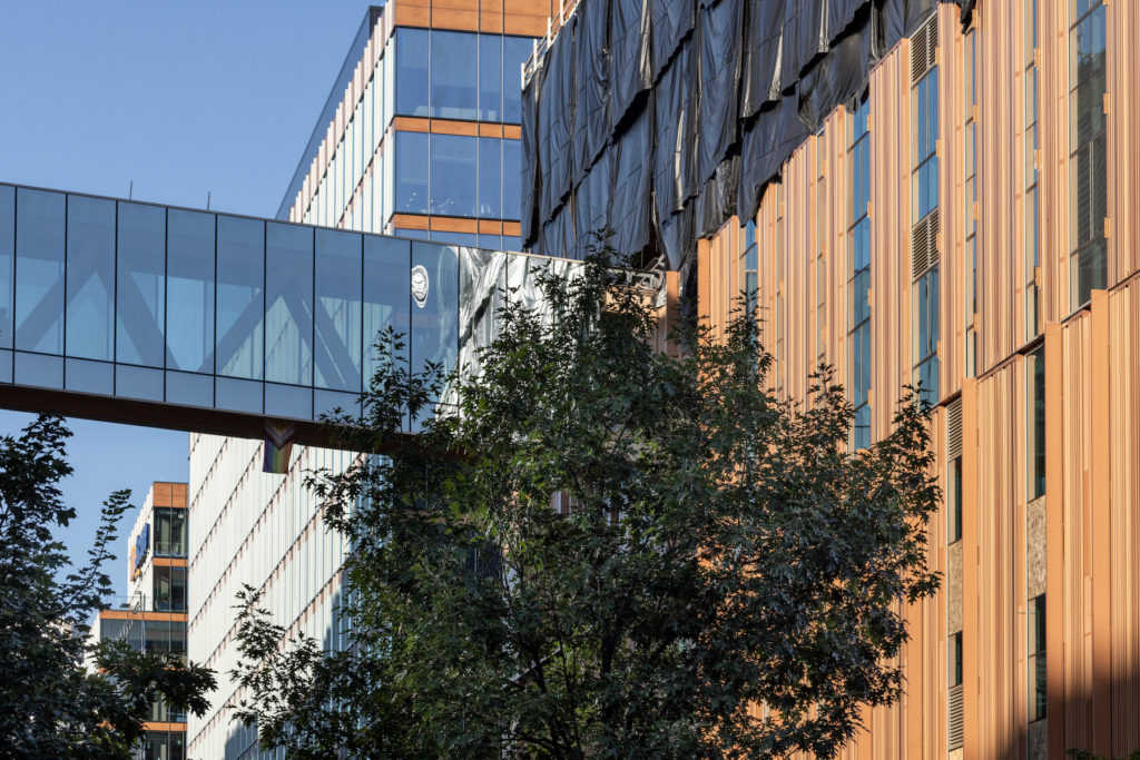 Limberlost Place Article in Construct Canada - Moriyama Teshima Architects